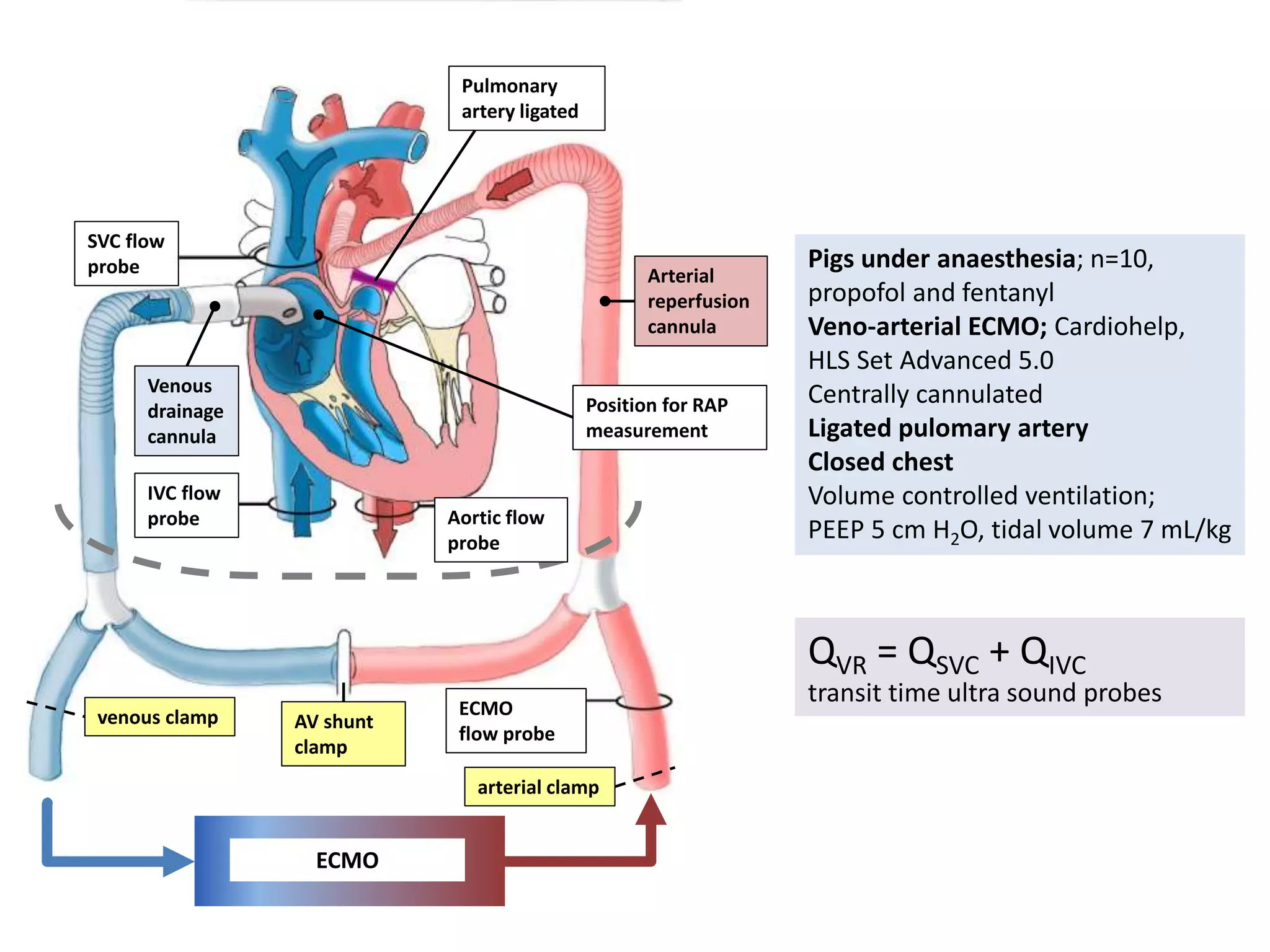 Right atrial pressure as back-pressure for venous return | PPTX