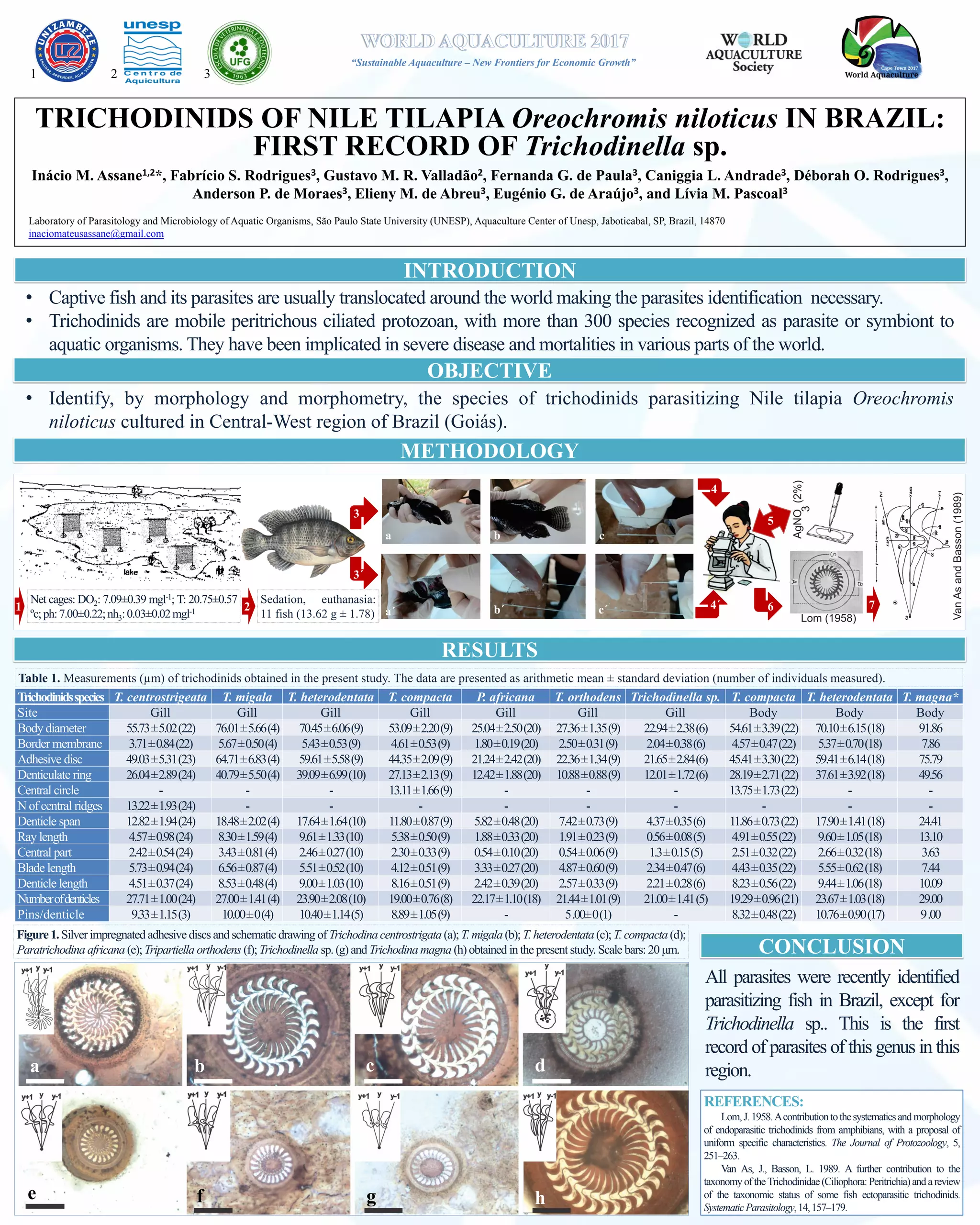 Trichodinids of Nile tilapia Oreochromis niloticus in Brazil: first ...
