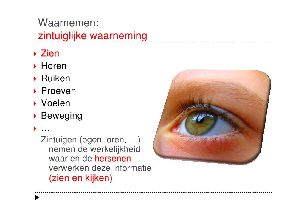 Waarnemen, Zien, kijken en leren kijken bij fotografie