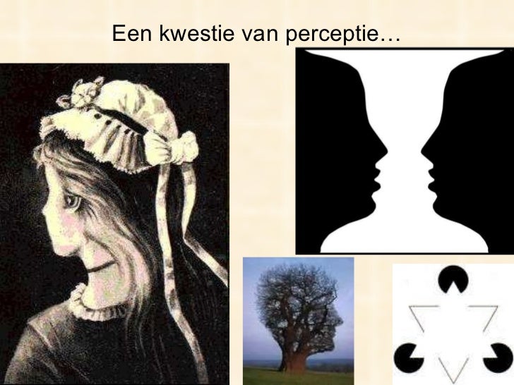 Waarnemen en interpreteren