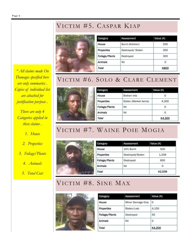 Wabam Report. Arson.pdf