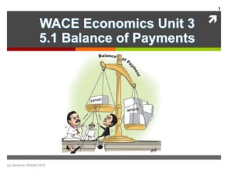 Balance of Payments Accounts | PPTX