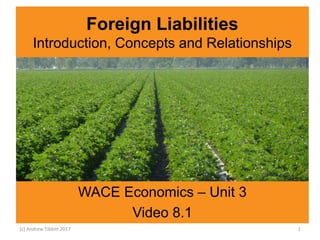 Australia's Foreign Liabilities 1: Concepts and relationships | PPTX