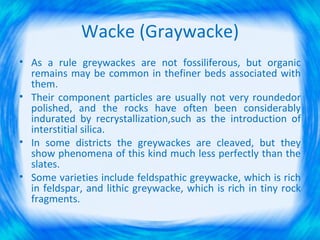 Wacke ( graywacke) | PPT