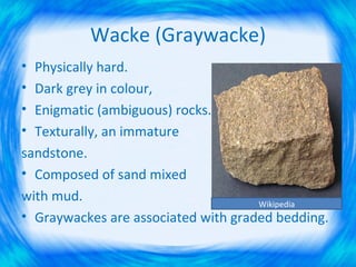 Wacke ( graywacke) | PPT