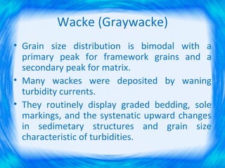 Wacke ( graywacke) | PPT