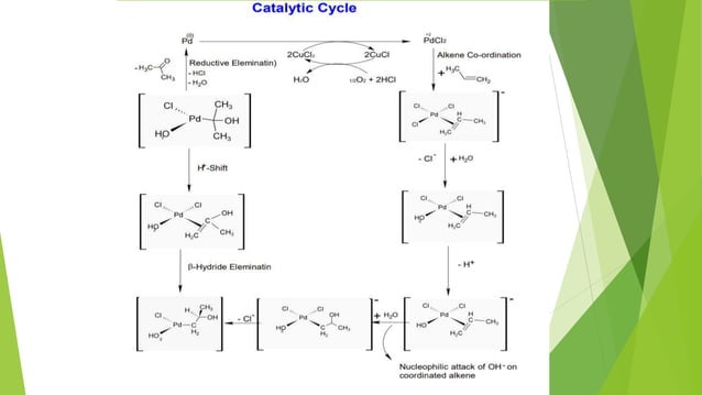 WACKER PROCESS | PPTX