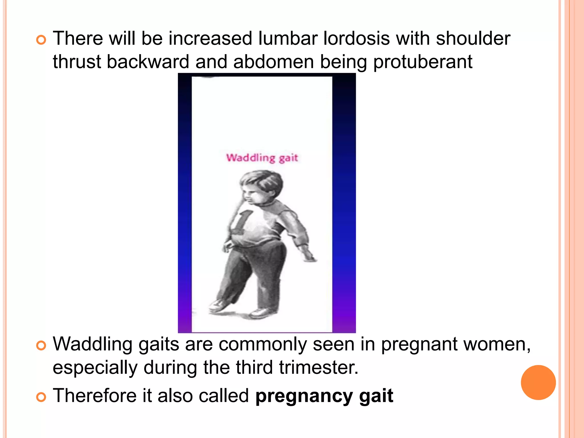 Waddling gait- definition|role of muscle|gait analysis|kinematic and ...