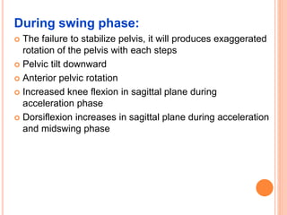 Waddling gait- definition|role of muscle|gait analysis|kinematic and ...