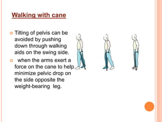 Waddling gait- definition|role of muscle|gait analysis|kinematic and ...