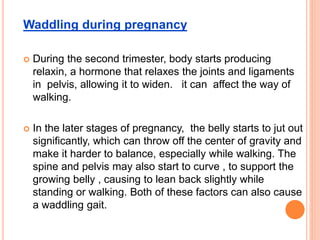 Waddling Gait In Pregnancy