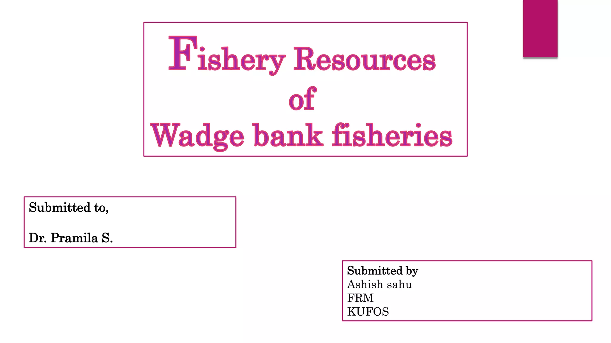 Wadge bank fisheries | PPTX