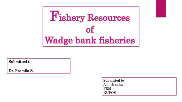 Wadge bank fisheries | PPTX | Fish and Aquariums | Pets