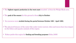 Wadge bank fisheries | PPTX