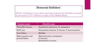 Wadge bank fisheries | PPTX