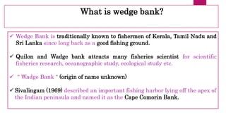 Wadge bank fisheries | PPTX