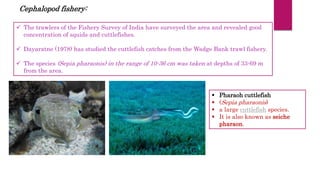 Wadge bank fisheries | PPTX