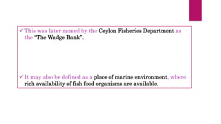 Wadge bank fisheries | PPTX