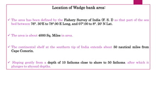 Wadge bank fisheries | PPTX