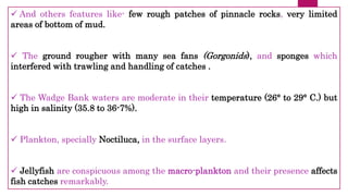Wadge bank fisheries | PPTX