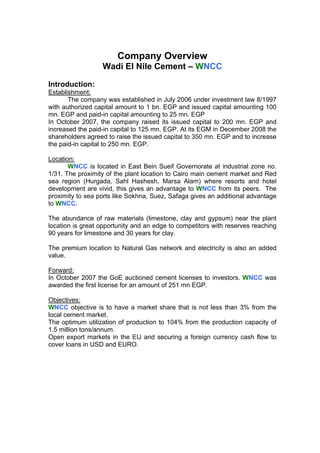 Wadi El Nile Cement Marketing Plan | PDF