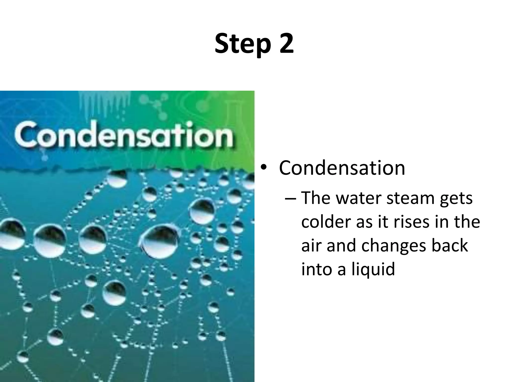 The Water Cycle | PPTX