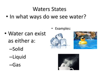 The Water Cycle | PPTX