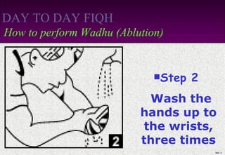 W A D U | PPT | Free Download