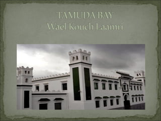 Wael museum definitive | PPT