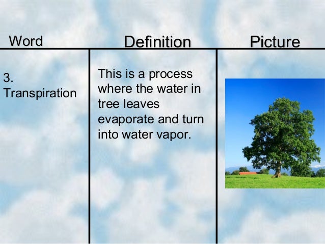 Water Cycle Transpiration Definition