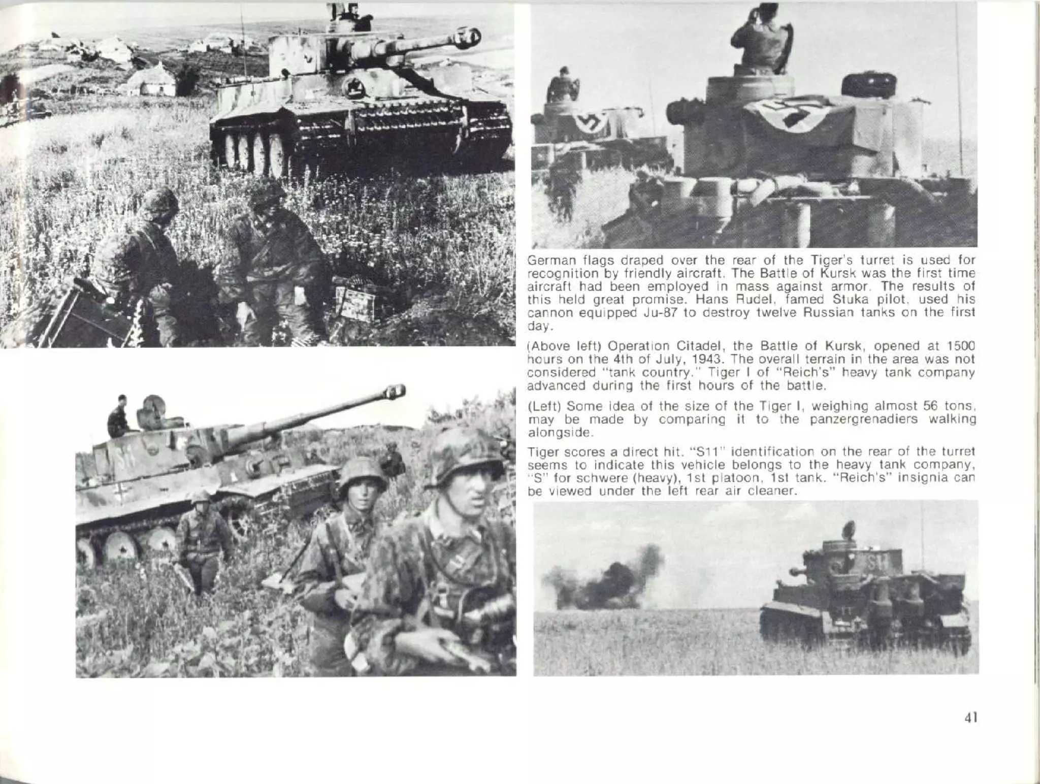 Waffen SS in action | PDF