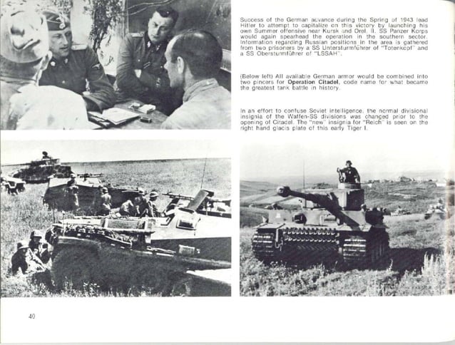 Waffen SS in action | PDF