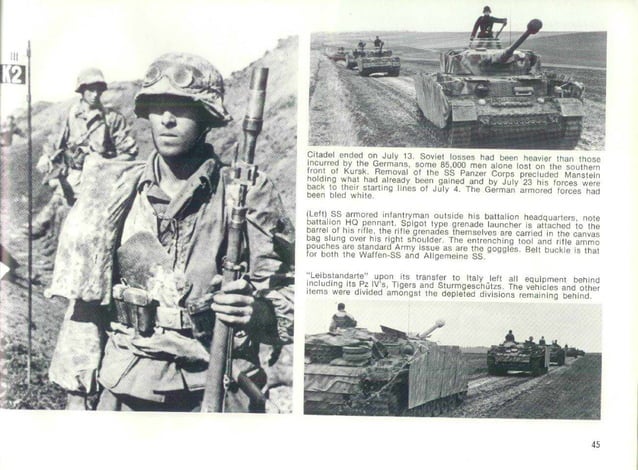 Waffen SS in action | PDF