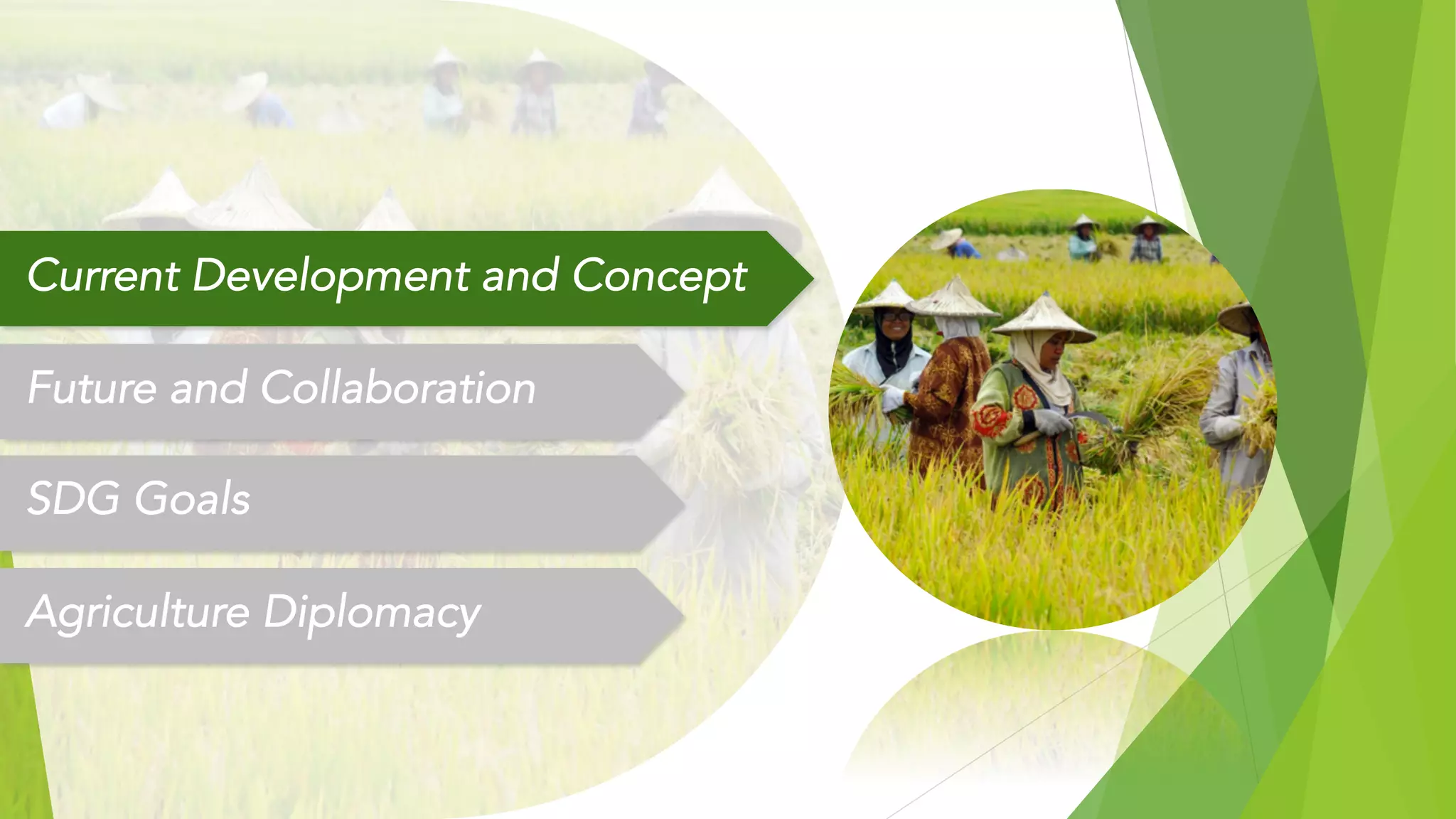 Indonesian Agriculture Development: Current and future concept and ...