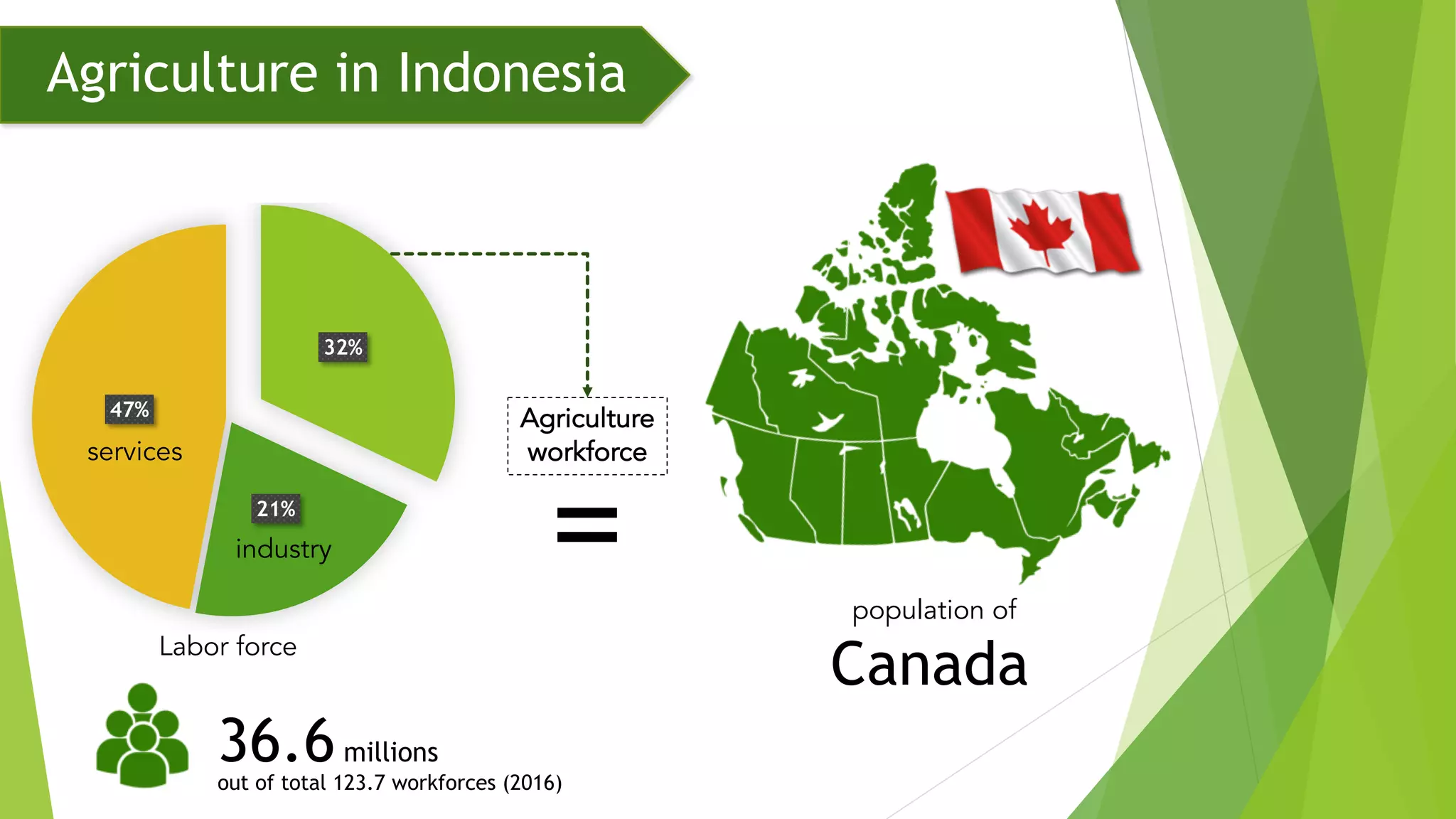Indonesian Agriculture Development: Current and future concept and ...
