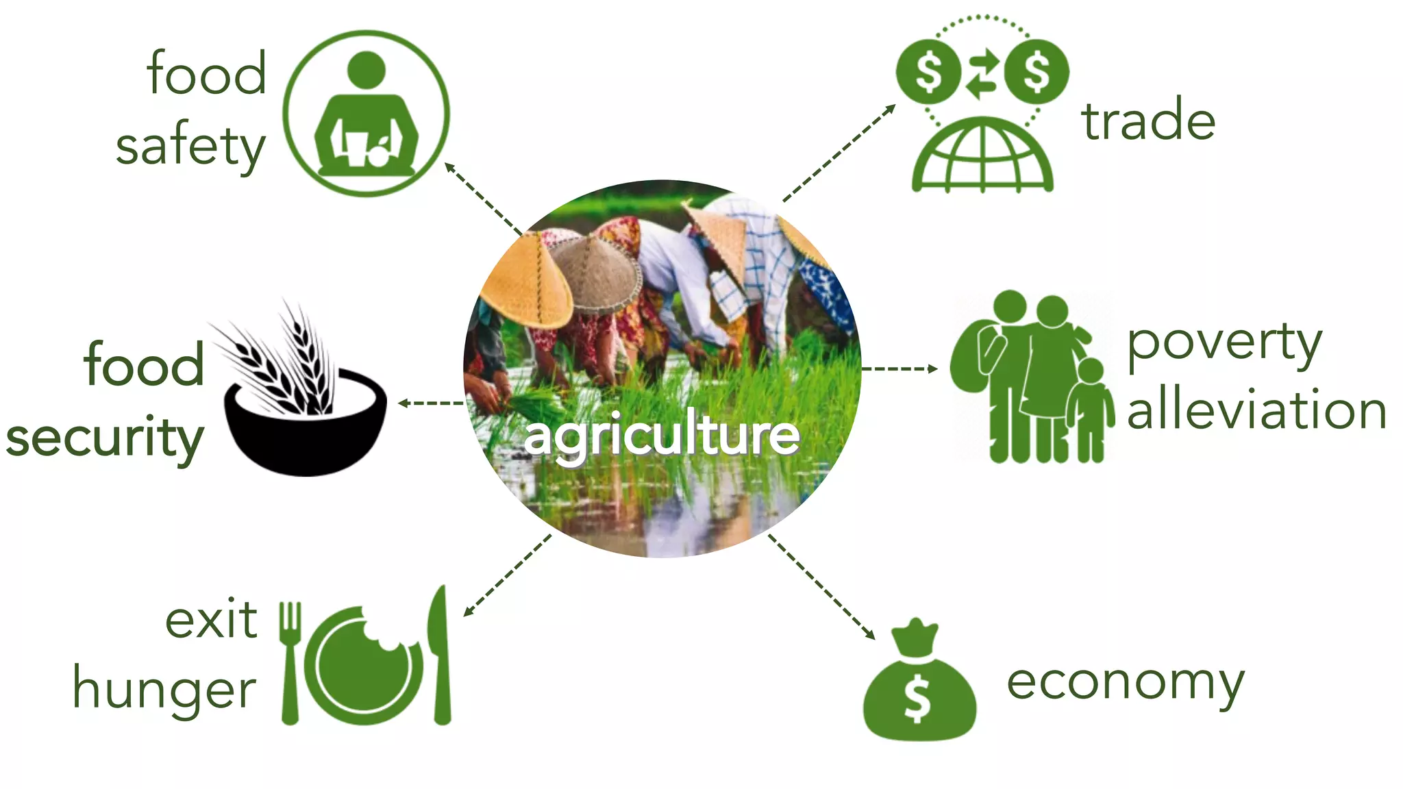 Indonesian Agriculture Development: Current and future concept and ...