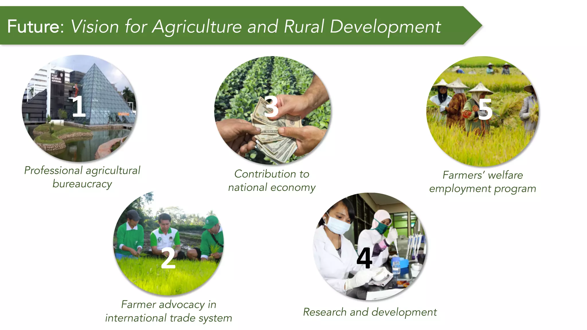 Indonesian Agriculture Development: Current and future concept and ...