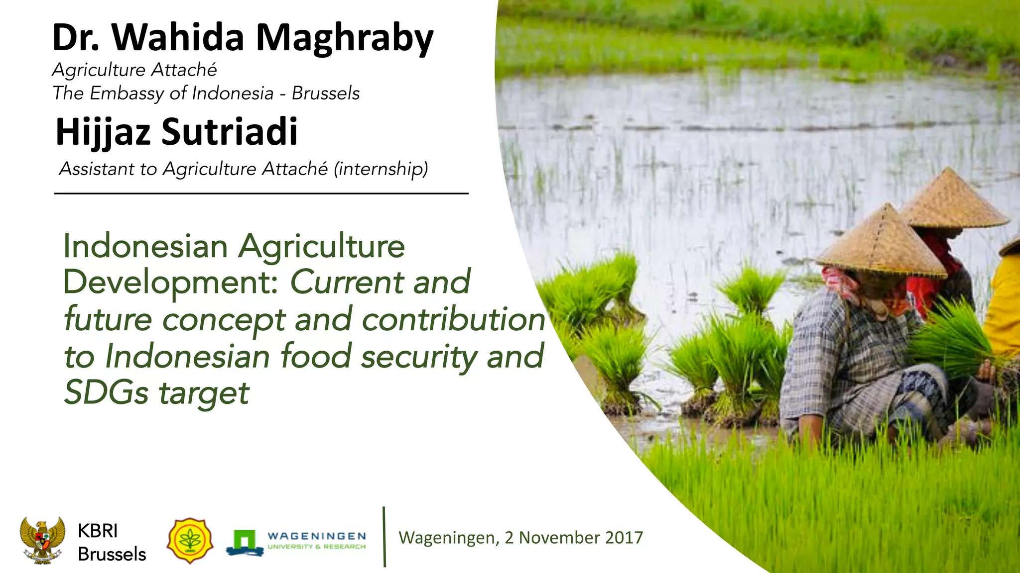 Indonesian Agriculture Development: Current and future concept and ...