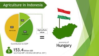 Indonesian Agriculture Development: Current and future concept and ...
