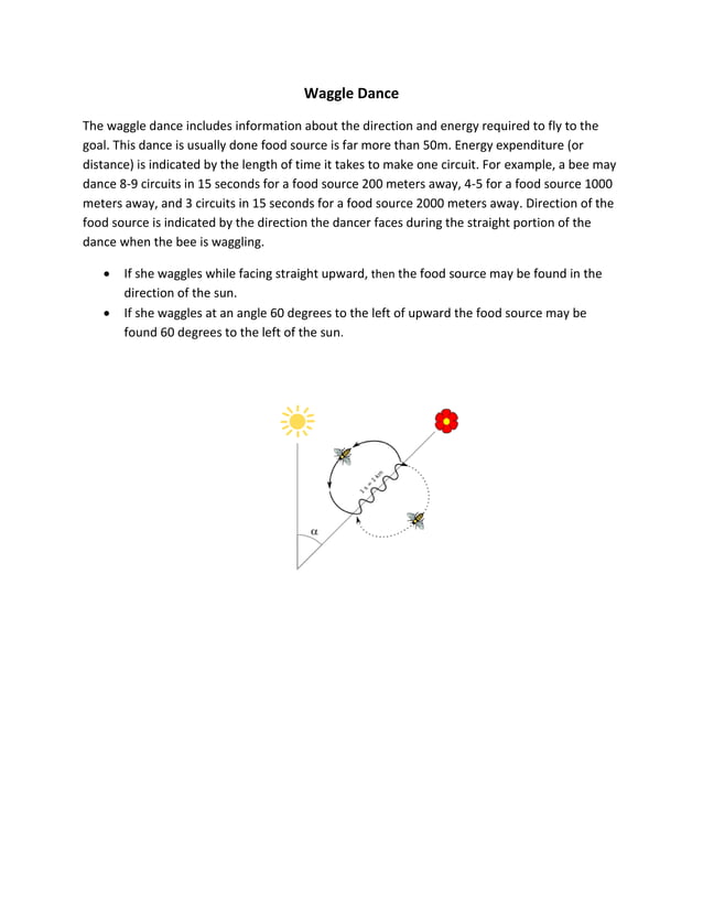 Waggle dance in Honey Bees - Apiculture | PDF