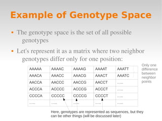 Wagner chapter 1 | PDF