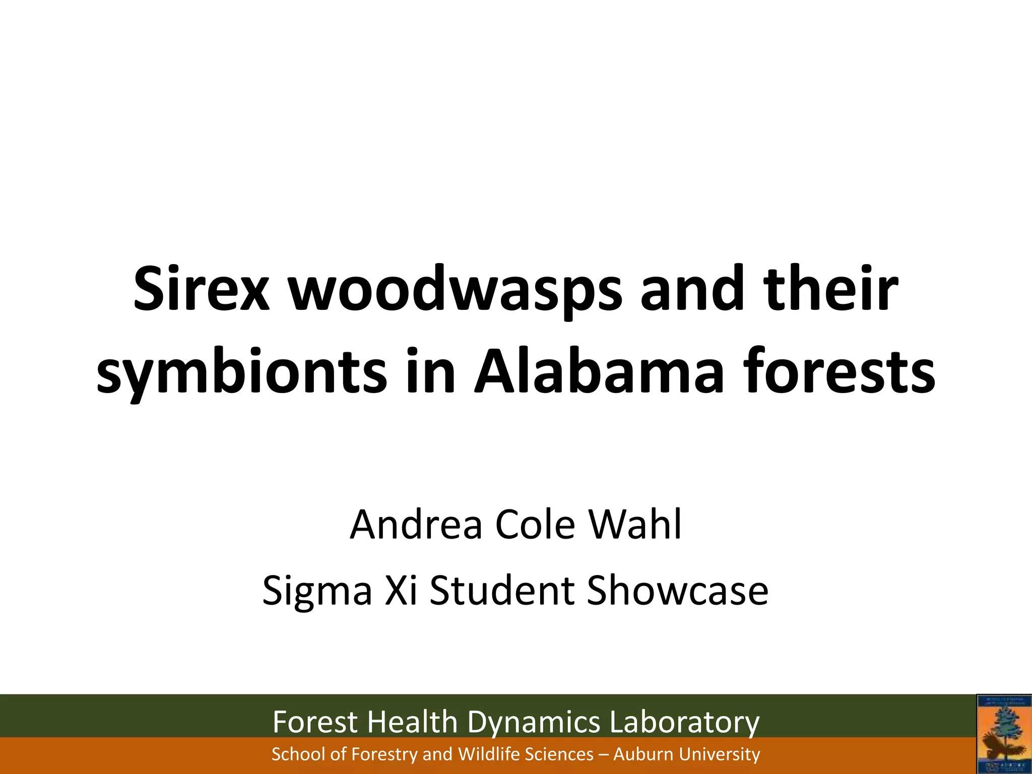 Sirex woodwasps and their symbionts in Alabama forests | PPT