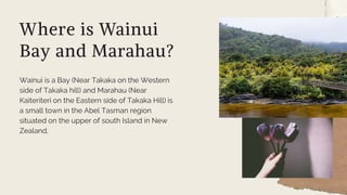 Wainui bay to marahau transport | FAQ | PPT