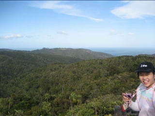 Waitakere Ranges – Elements And Interactions, Spatial Variations | PPT