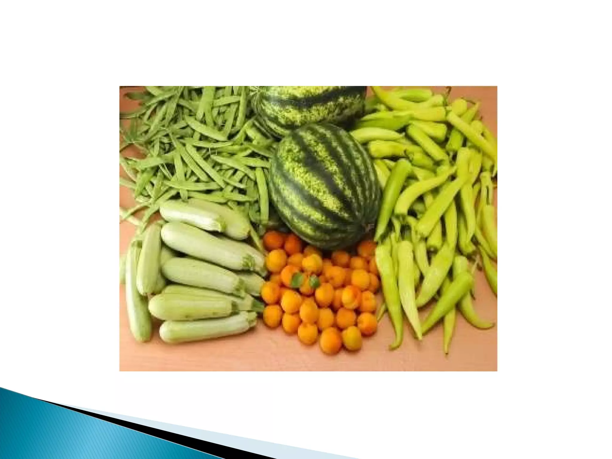 Waiting staff | PPT