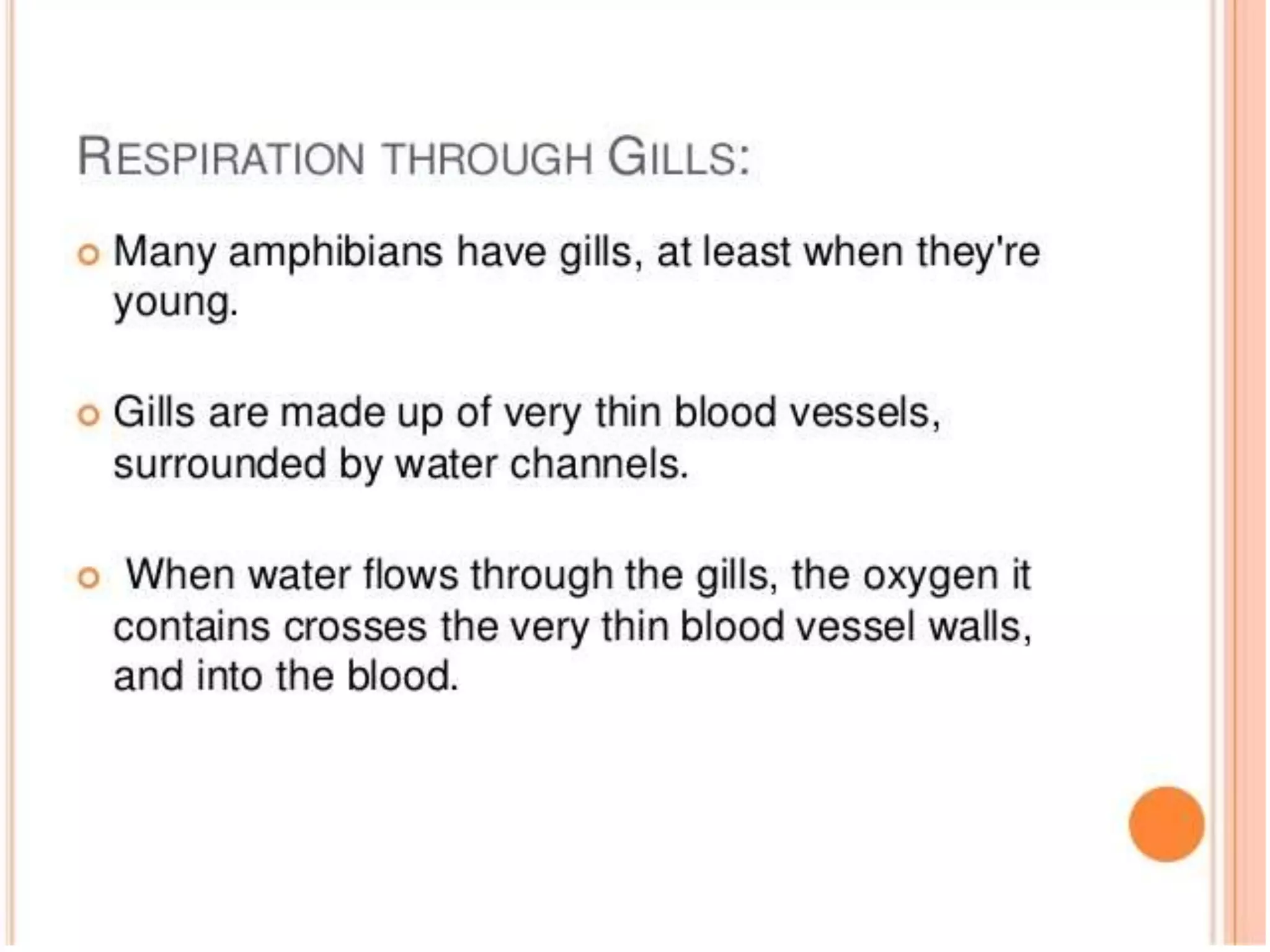 Repiration in amphibian | PPT