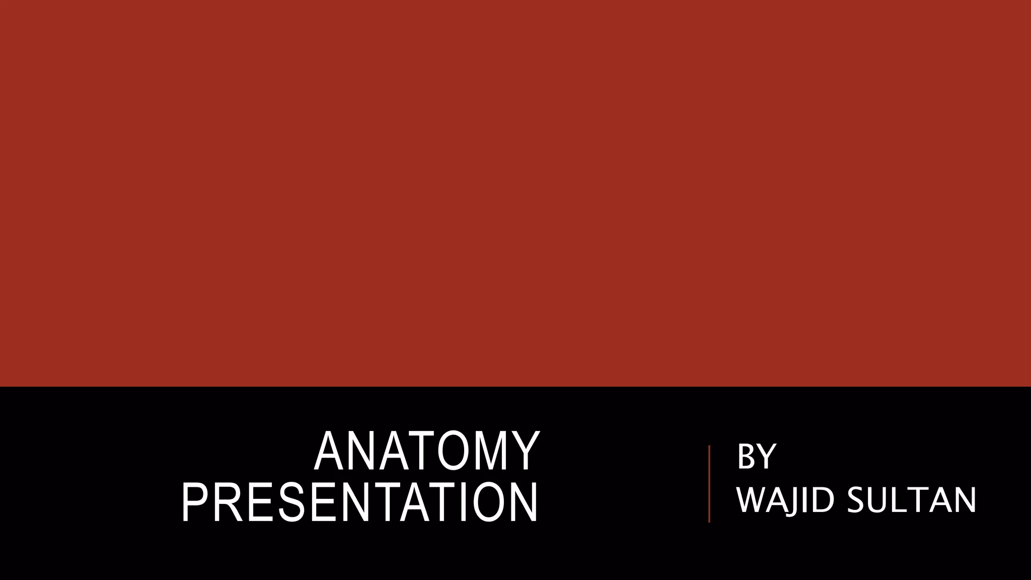 female reproductive organs | PPT