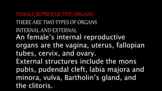female reproductive organs | PPTX