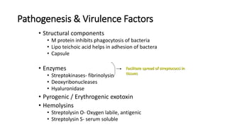 wala strep.pptx | Ear, Nose and Throat Conditions | Diseases and Conditions