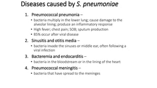 wala strep.pptx | Ear, Nose and Throat Conditions | Diseases and Conditions
